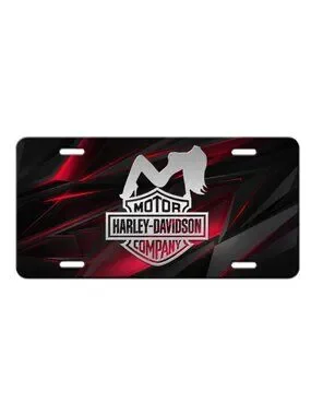 Accents | Simulated Steel Look Batman Logo Aluminum License Plate Tag ...